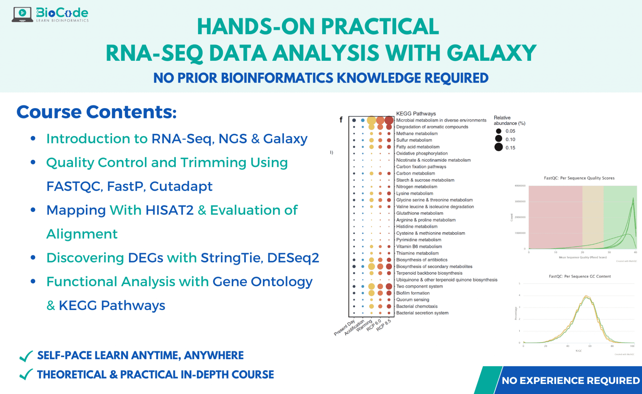 Hands-on Practical RNA-Seq Data Analysis With Galaxy – BioCode