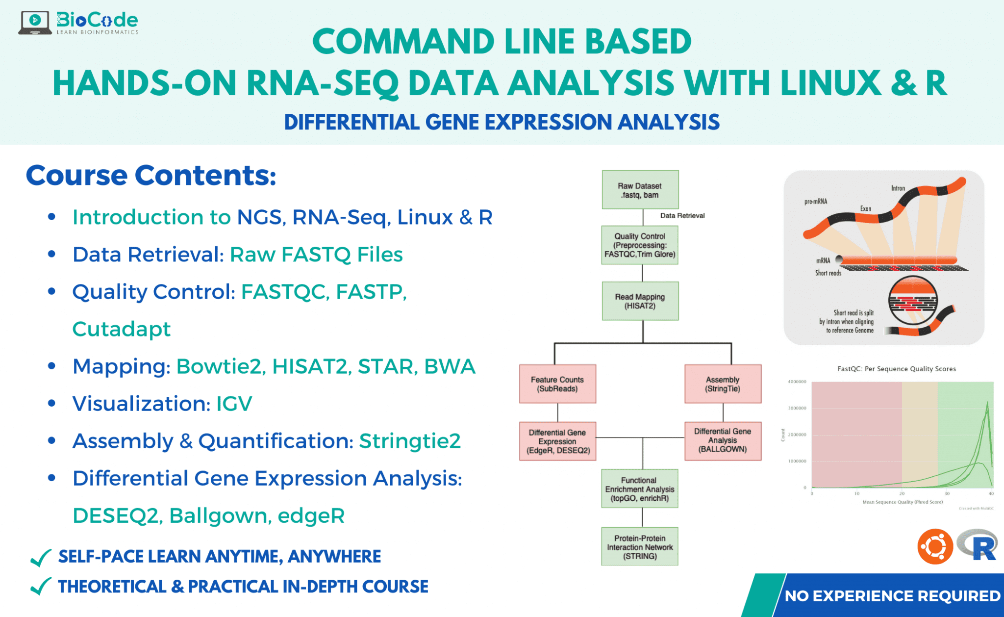 Command-line Based Practical RNA-Seq Data Analysis With Linux & R | BioCode