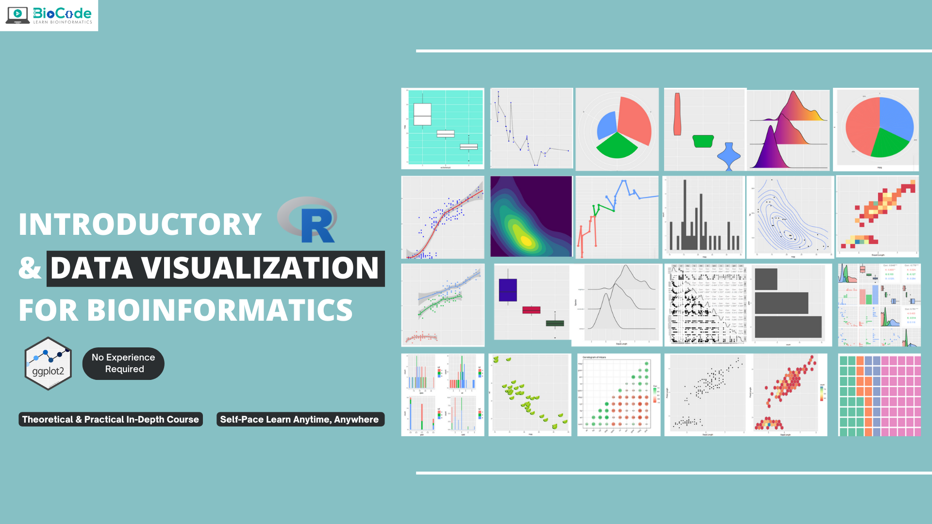 BioCode Learn SaaS Research