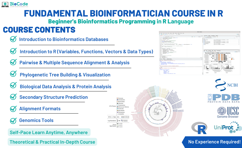 Fundamental Bioinformatician Course in R – BioCode Learn. SaaS. Research