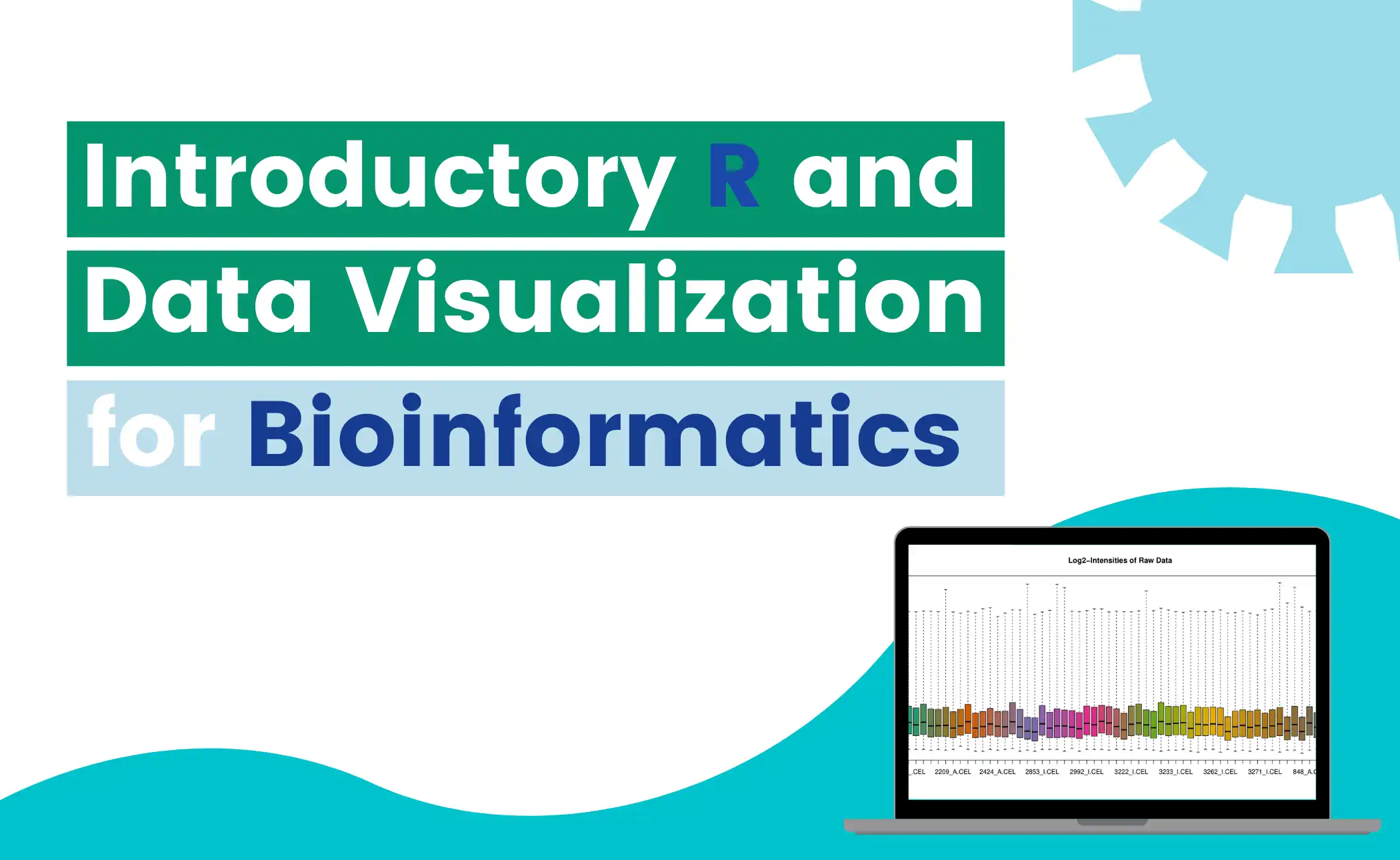 Gold-Intro-R.png – BioCode
