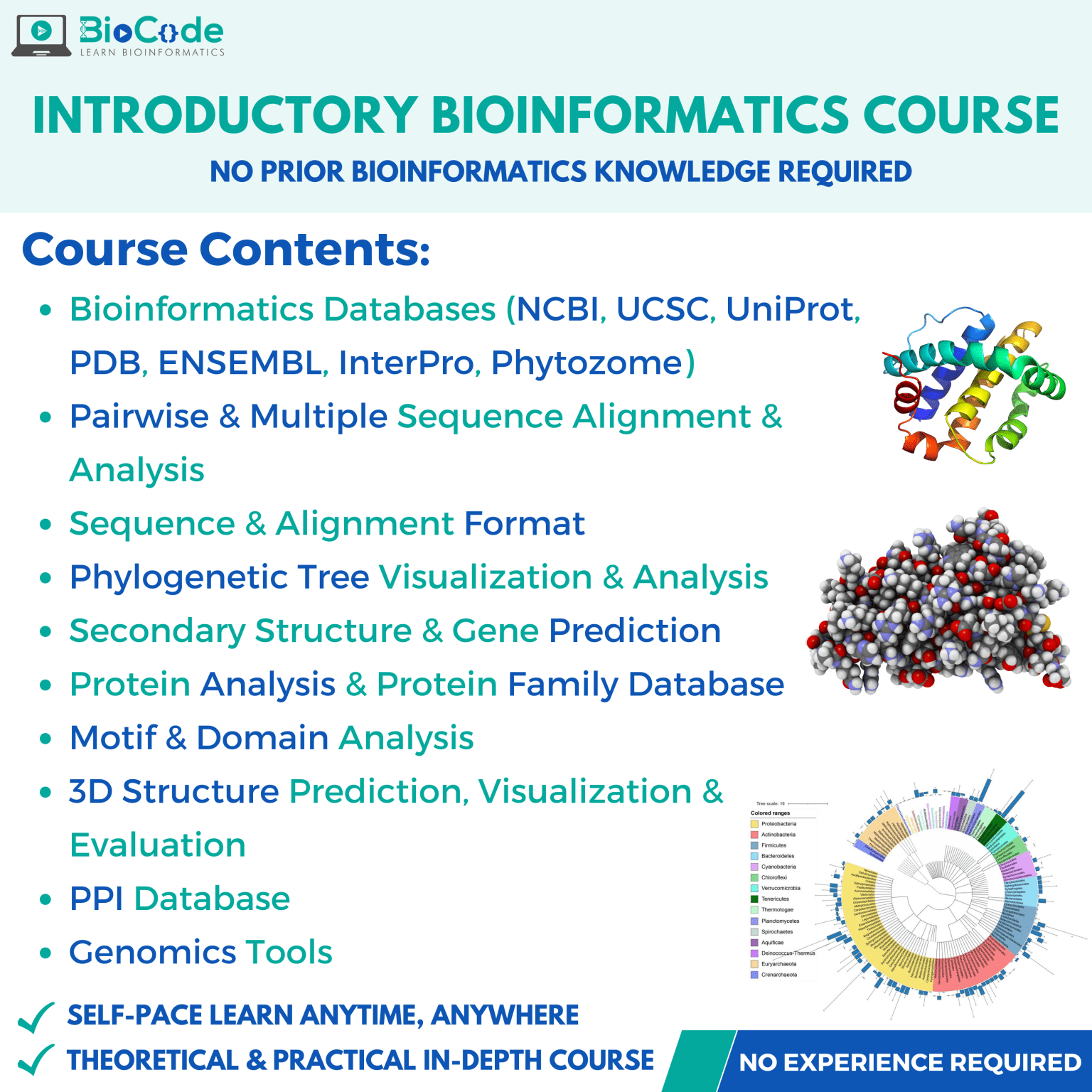 Introductory Bioinformatician Course | BioCode