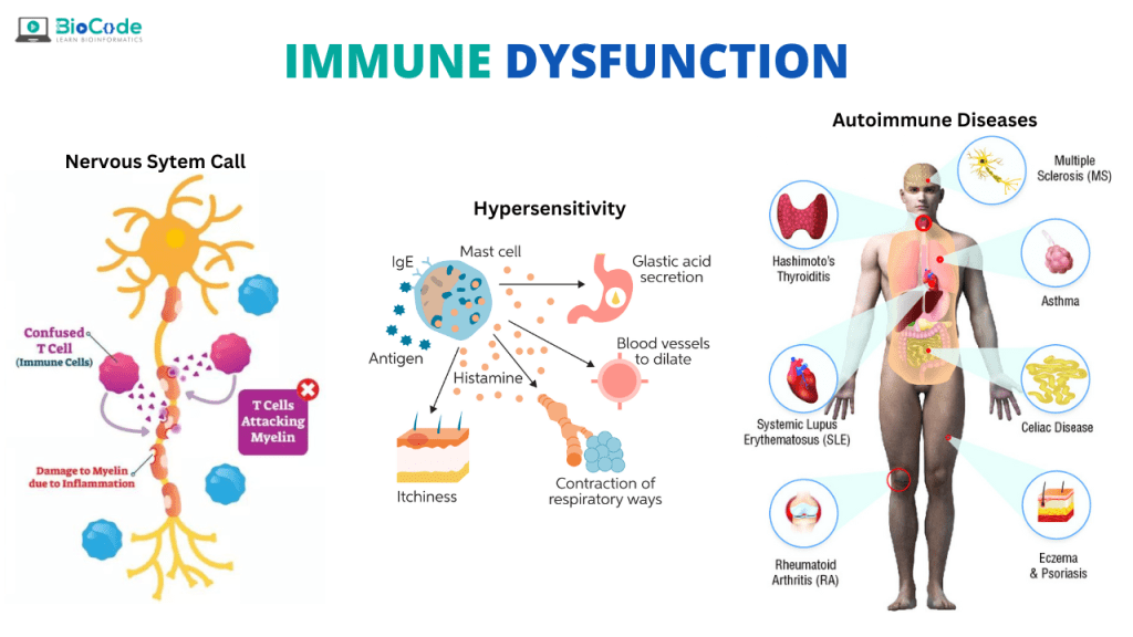 Immune Dysfunction – BioCode