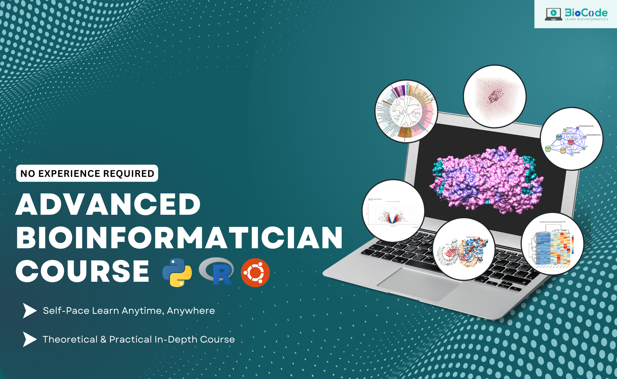 Advanced Bioinformatician Course (Subscription) – BioCode