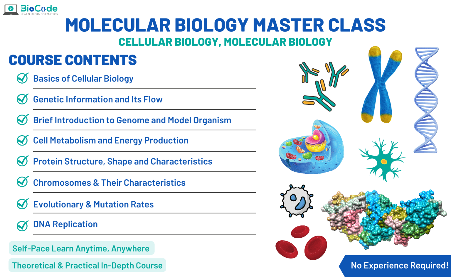 Molecular Biology MasterClass – BioCode