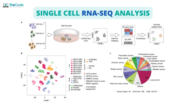 Single Cell RNA-Seq – BioCode