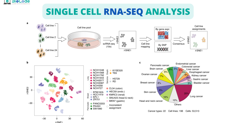 Single Cell Rna Seq Biocode