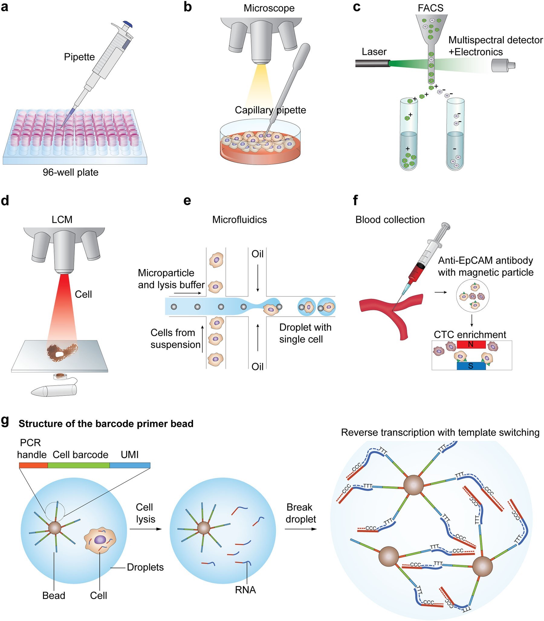 Single Cell RNA-Seq | BioCode