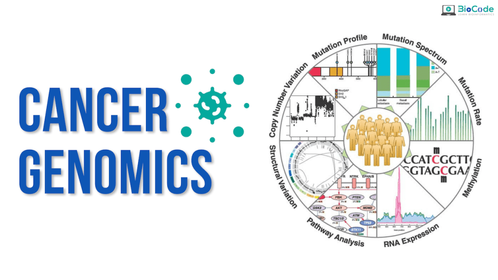 Cancer Genomics – BioCode