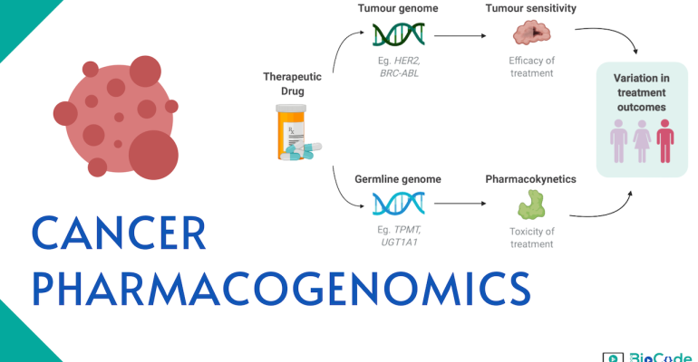 Cancer Pharmacogenomics - BioCode