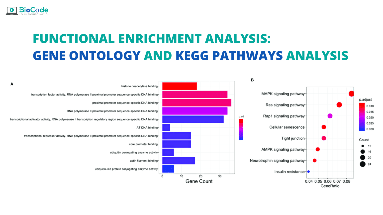 Pathways Analysis – BioCode