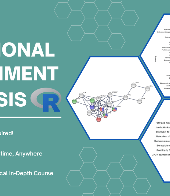 Functional Enrichment Analysis (Gene Ontology, KEGG Pathways Analysis, Protein-Protein ...