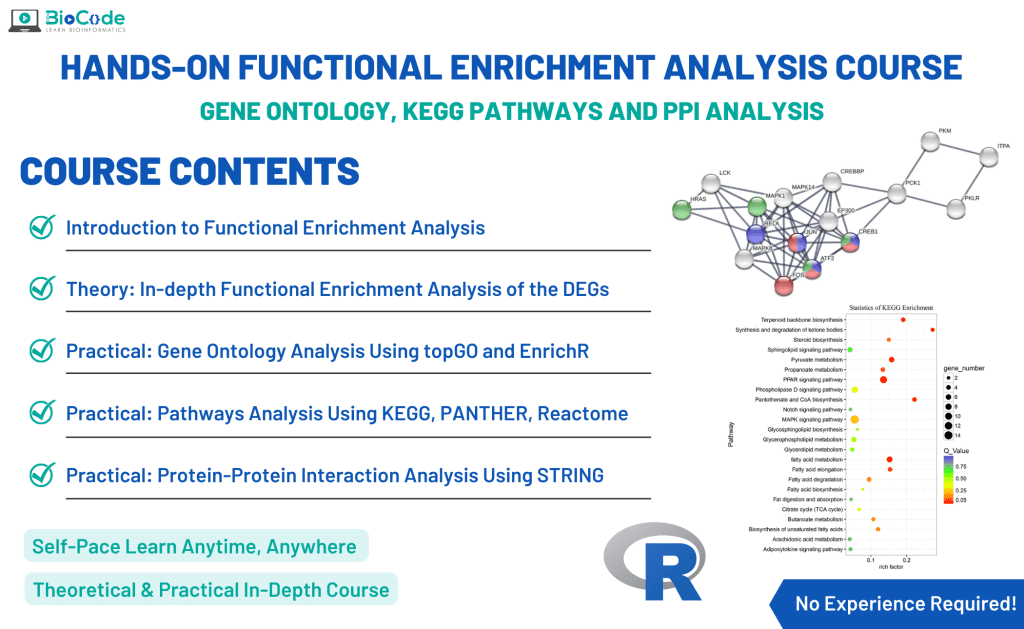 Functional Enrichment Analysis (Gene Ontology, KEGG Pathways Analysis ...