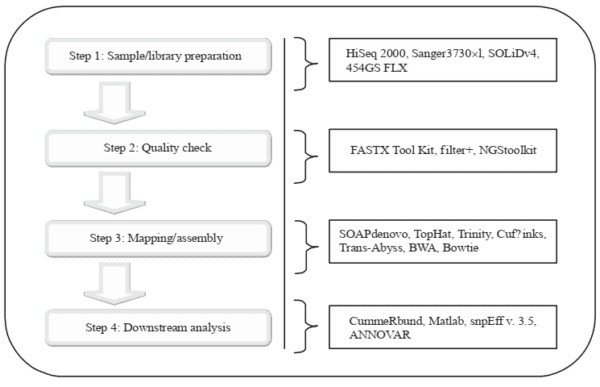 How NGS is Helping in Discovering New Drug Targets for Cancer – BioCode