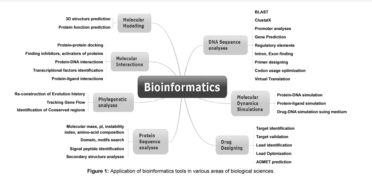 What is Bioinformatics and How it Helps Life Science Research | BioCode