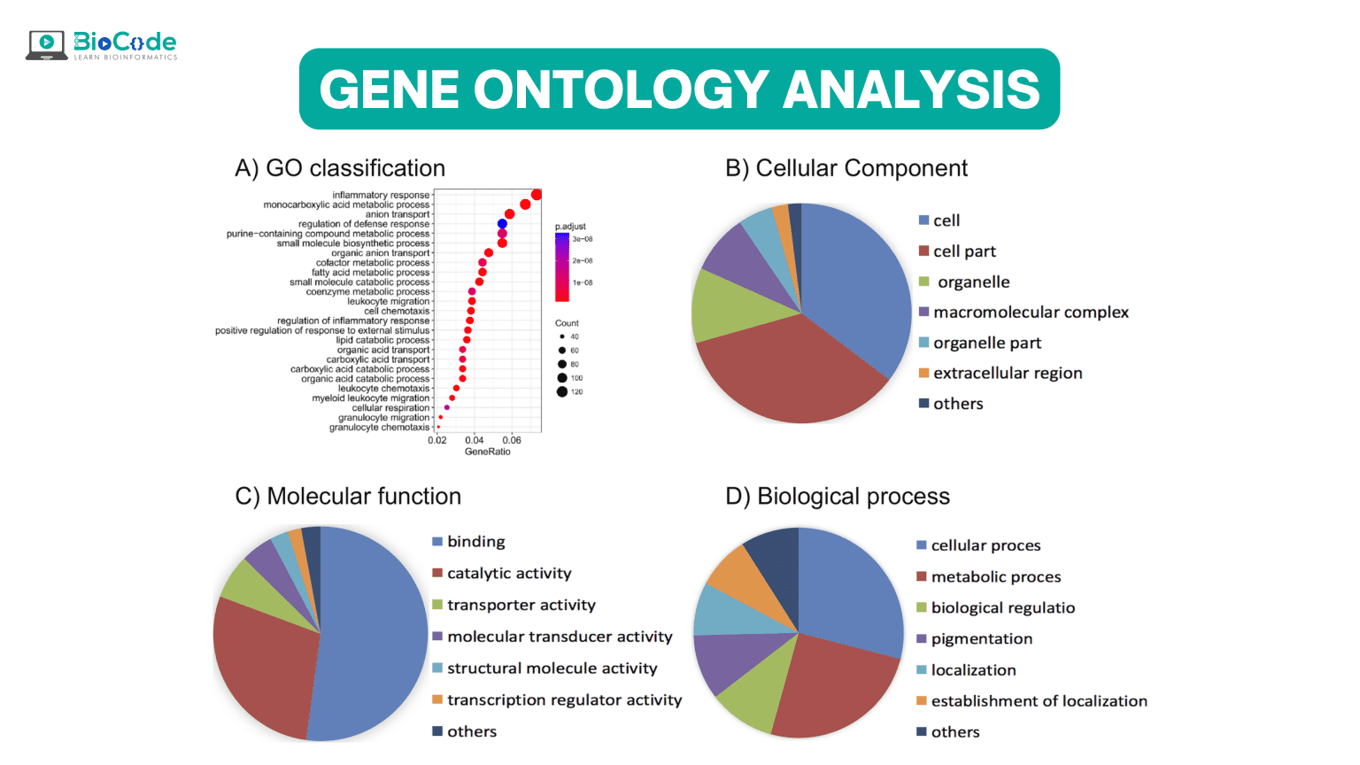 Gene Ontology Analysis – BioCode