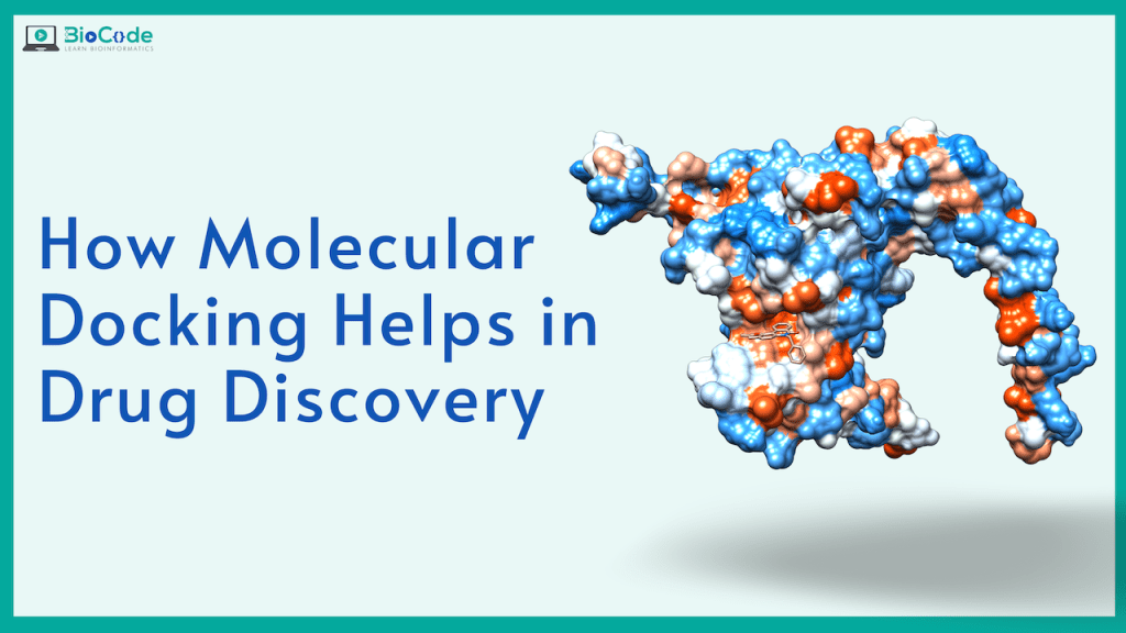 Molecular Docking – BioCode