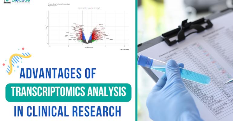 Transcriptomics – BioCode