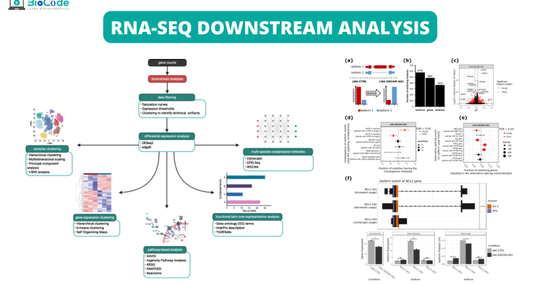Mastering RNA-Seq (NGS Data Analysis) A Critical Approach, 51% OFF Mastering RNA-Seq (NGS Data Analysis) A Critical Approach, 51% OFF