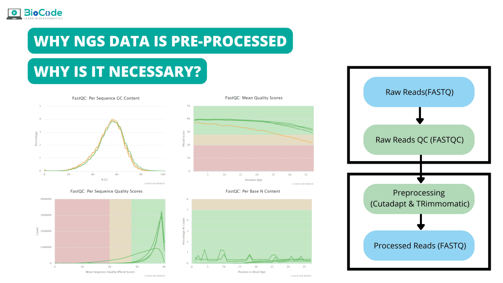 Why NGS Data is Pre-processed and Why is it Necessary – BioCode