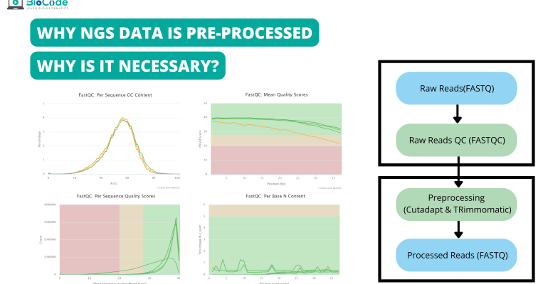 Bioinformatics - BioCode