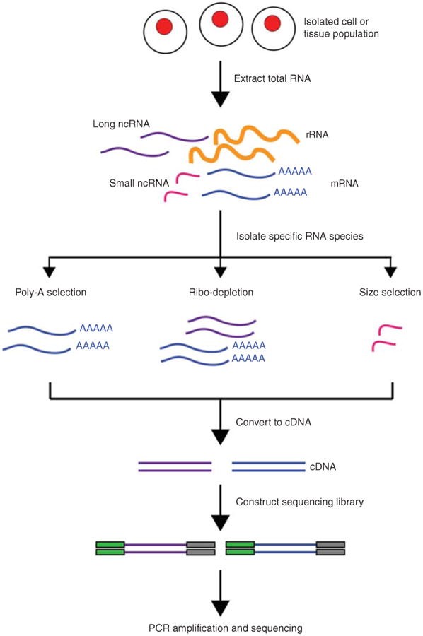 Fig1 (2) – BioCode