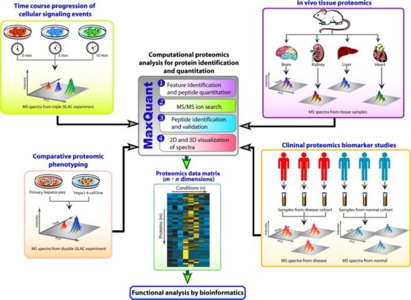 What is Bioinformatics and How it Helps Life Science Research | BioCode