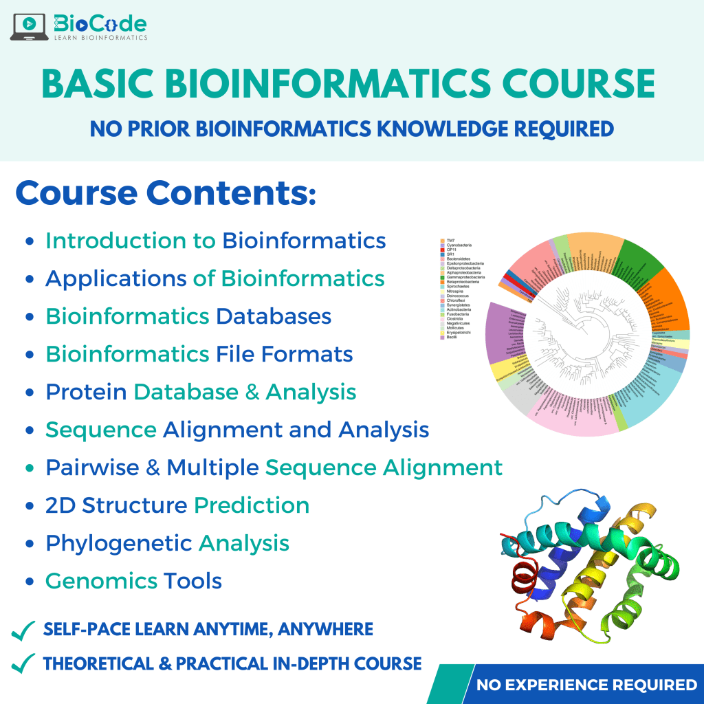 Basic Bioinformatician Course – BioCode