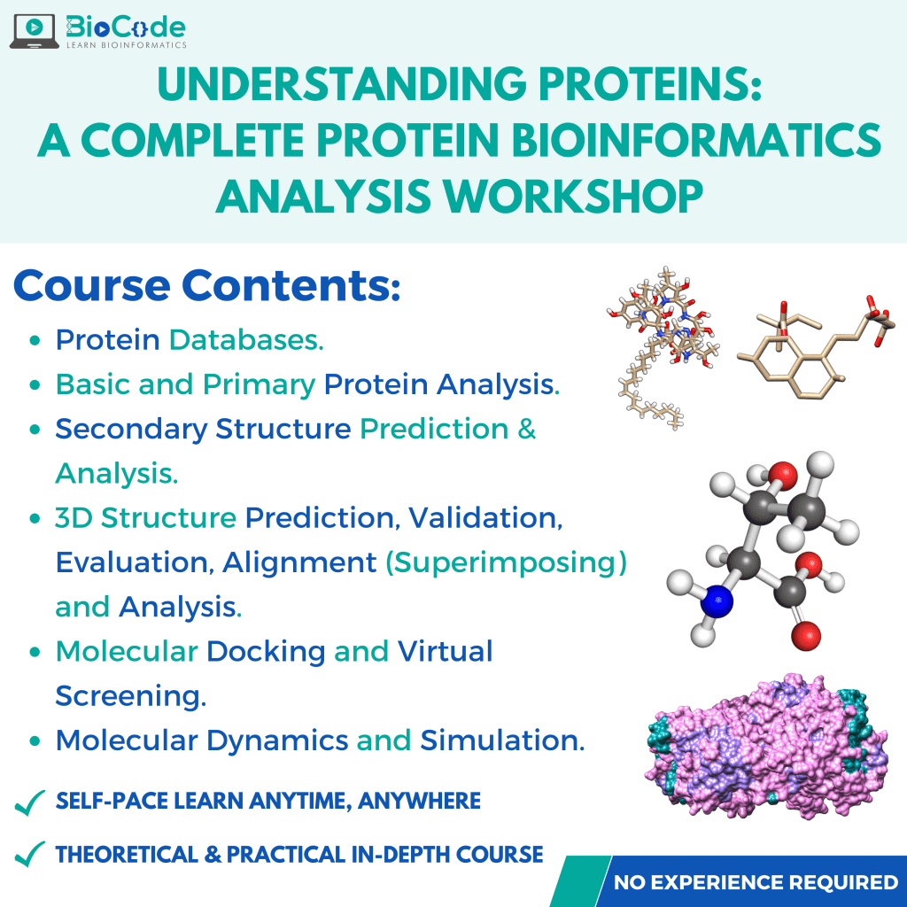 Understanding Proteins: A Complete Protein Bioinformatics Analysis Workshop – BioCode Learn ...