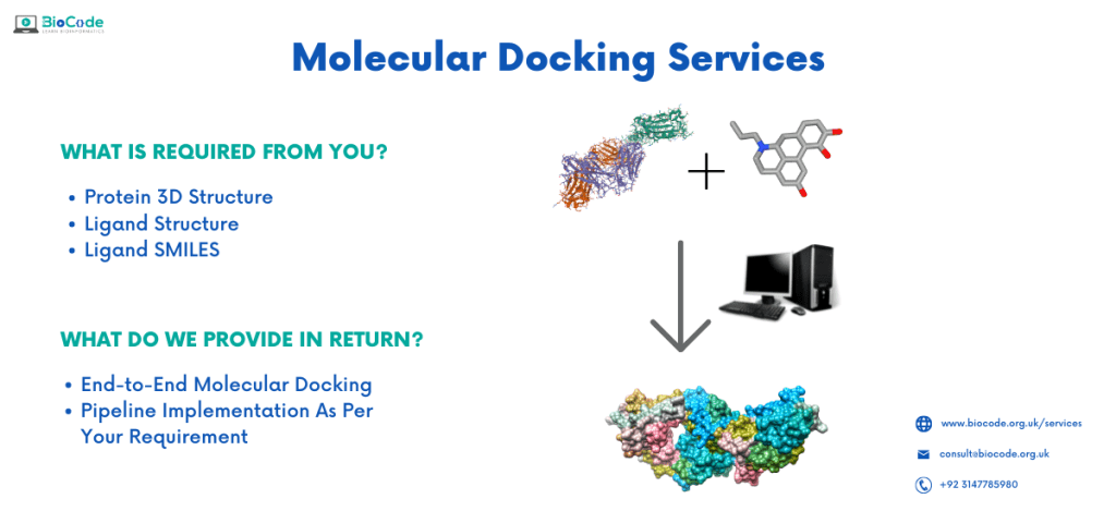 Molecular Docking Services – BioCode