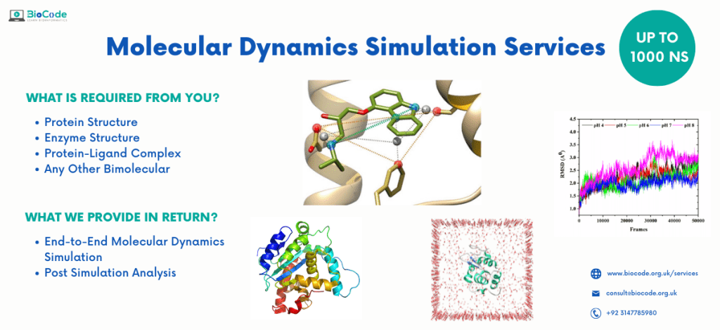 Molecular Dynamics Simulation Services | BioCode Molecular Dynamics Simulation Services | BioCode
