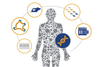 BioCode – Learn Bioinformatics & Bioinformatics Services