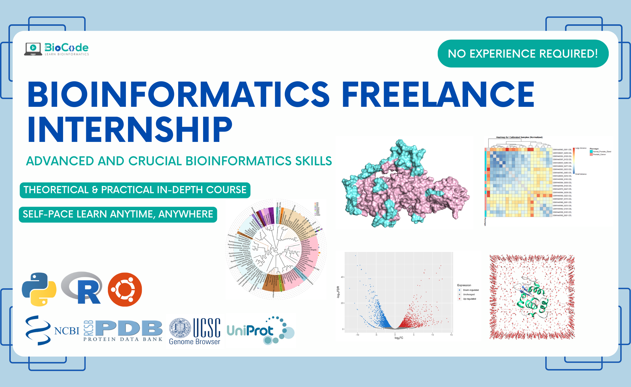 Course Thumbnail Bioinformatics FreeLance Training – BioCode