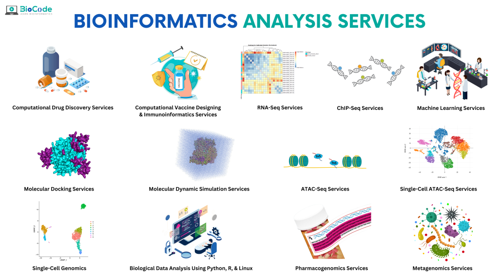 Bioinformatics Analysis Services | BioCode