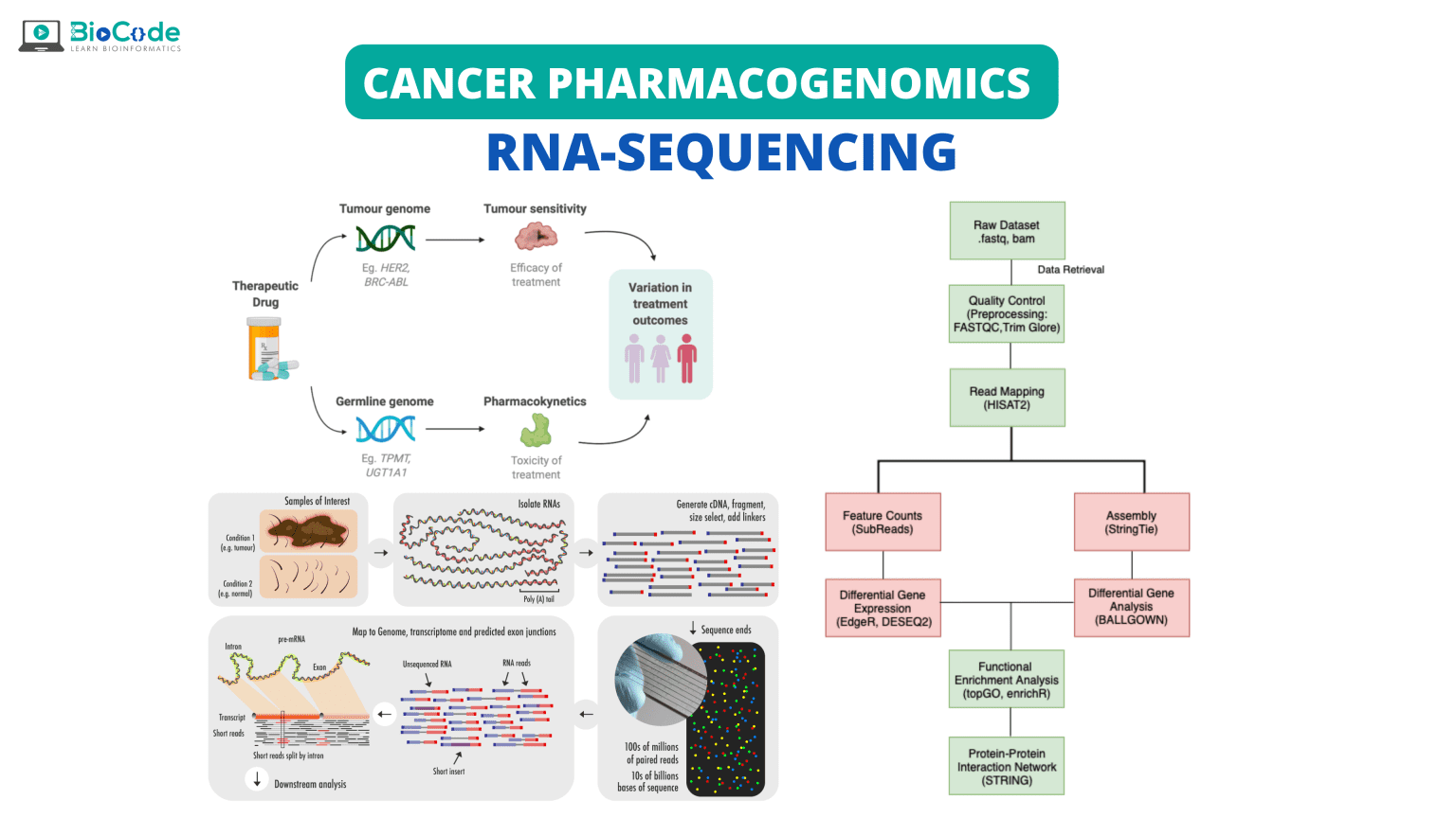 RNA-Sequencing – BioCode
