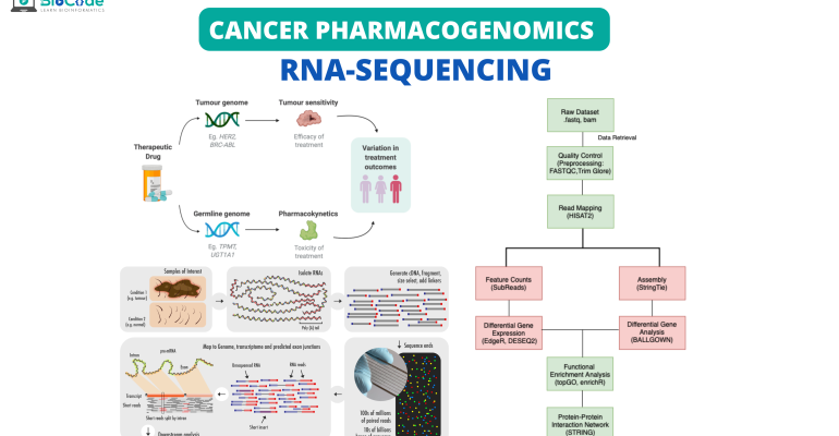 RNA-Sequencing – BioCode