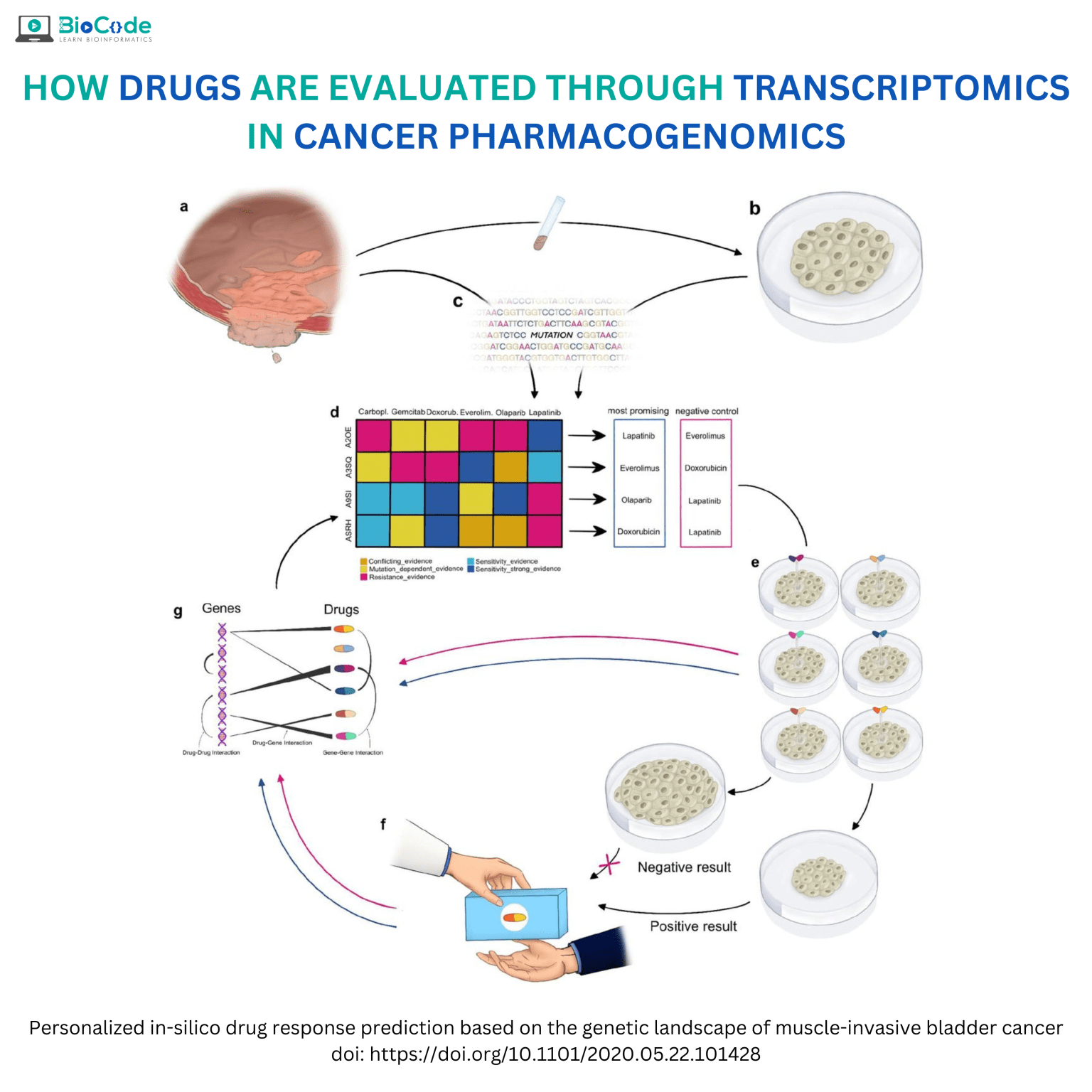 Cancer Pharmacogenomics (RNA-Seq) | BioCode Cancer Pharmacogenomics (RNA-Seq) | BioCode