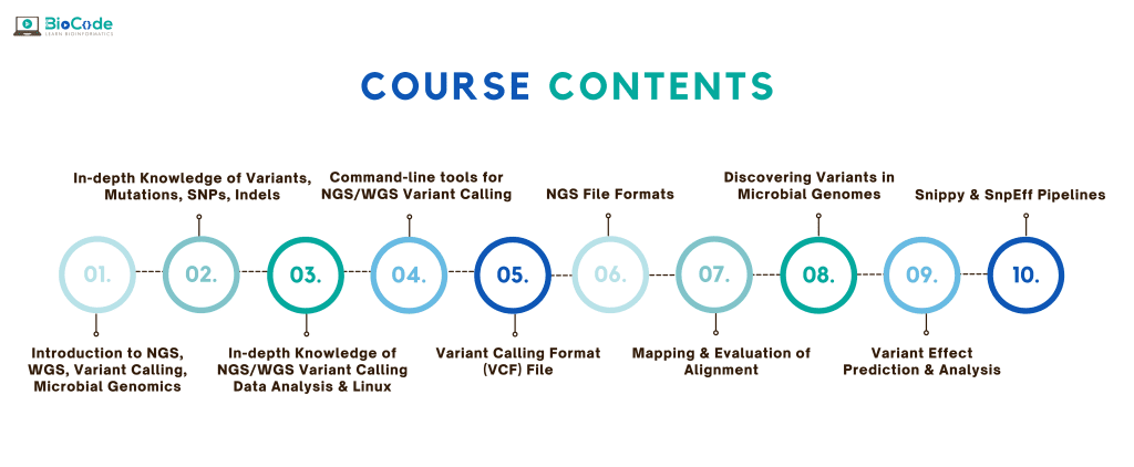 Hands-on: NGS (Whole Genome Sequencing) Variant Calling for Microbial Genomics – BioCode