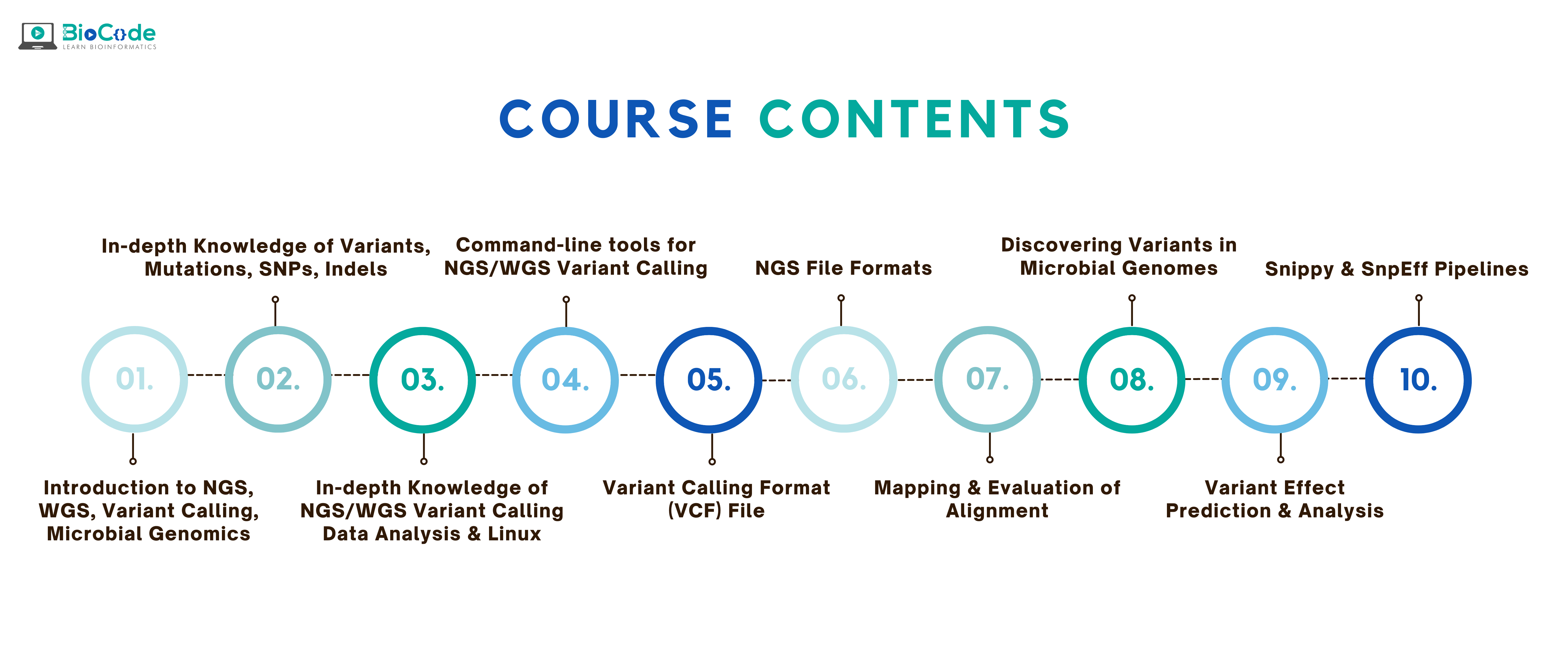 Hands-on: NGS (Whole Genome Sequencing) Variant Calling for Microbial Genomics – BioCode