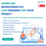 BioCode – Learn Bioinformatics & Bioinformatics Services