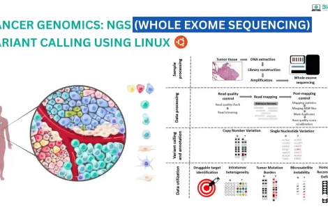 Cancer Genomics: NGS (Whole Exome) Variant Calling Using Linux