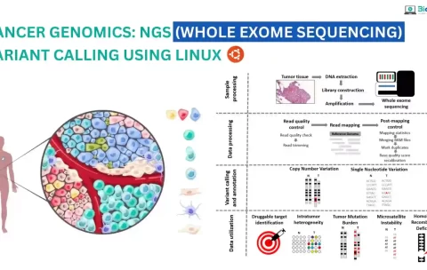 Cancer Genomics - BioCode