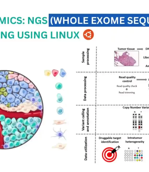 Cancer Genomics: NGS (Whole Exome Sequencing) Variant Calling Using Linux - BioCode