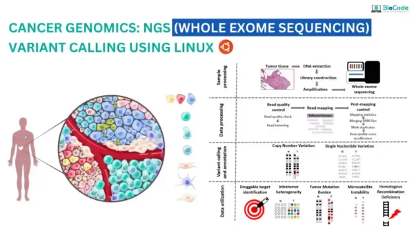 Cancer Genomics: NGS (Whole Exome Sequencing) Variant Calling Using ... Cancer Genomics: NGS (Whole Exome Sequencing) Variant Calling Using ...