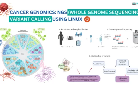 Cancer Genomics: NGS (Whole Genome) Variant Calling
