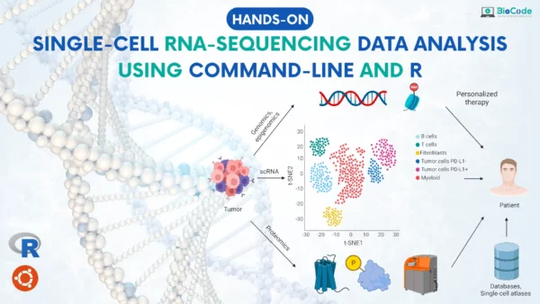 Hands On Single Cell Rna Sequencing Data Analysis Using Command Line