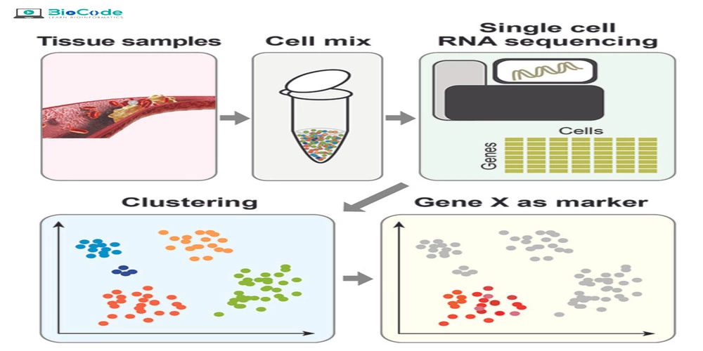 Session 1 – BioCode