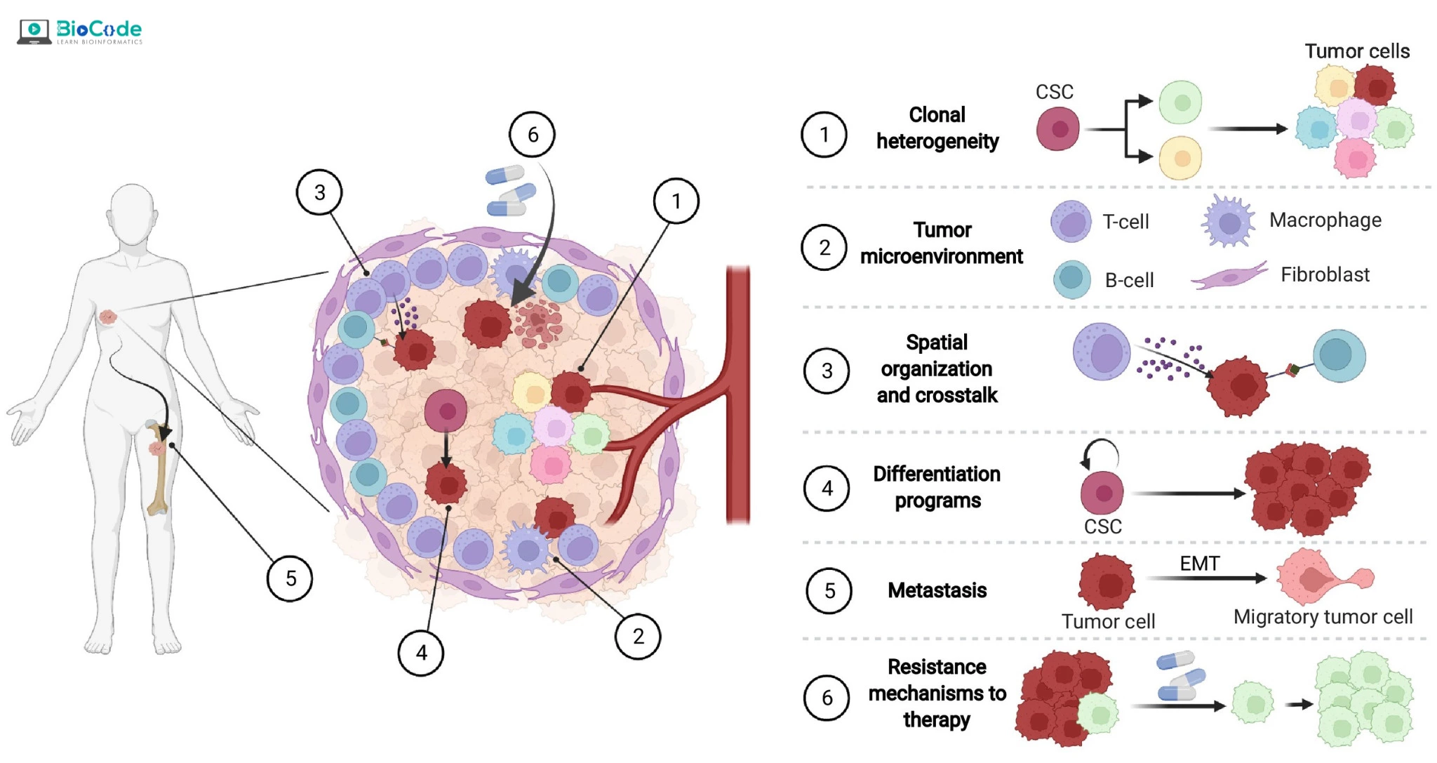 Session 3 New – BioCode
