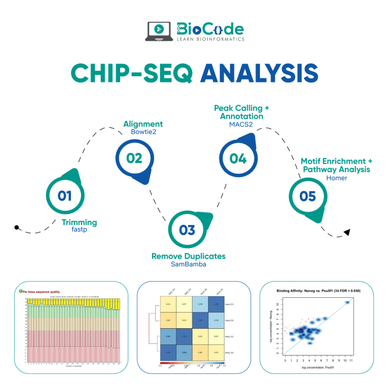 Bioinformatics Analysis Services | BioCode