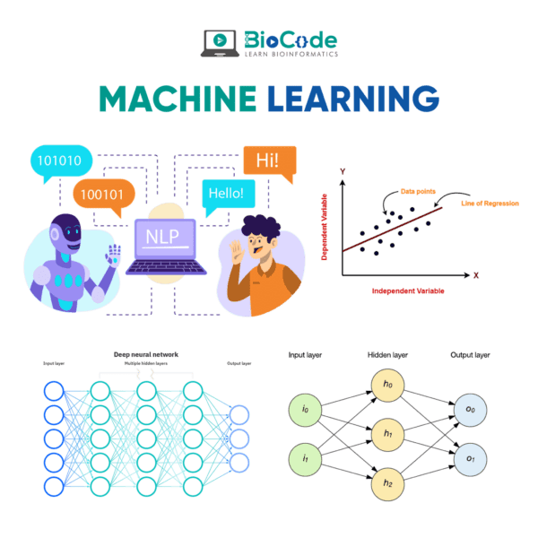 Bioinformatics Analysis Services | BioCode